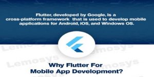 2021 Top Rated Android Application Development Companies in India