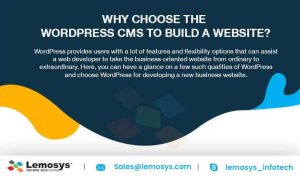12 Reasons Why You Should Choose WordPress for Development